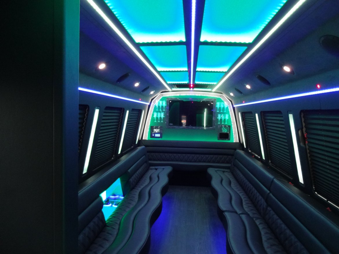 New 2018 Ford E 450 Limo Bus for sale #WS-11137 | We Sell Limos