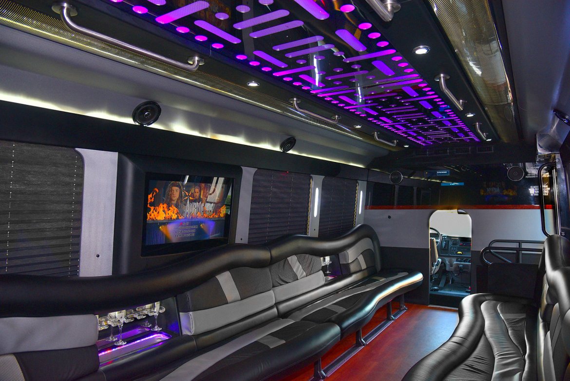 Used 2013 Freightliner Limo Bus for sale #WS-11960 | We Sell Limos