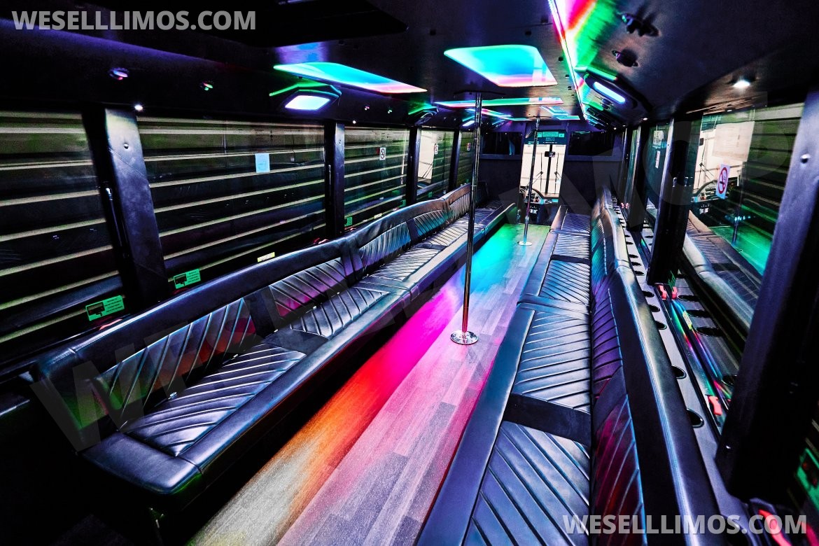 Used 2010 Temsa TS35 for sale in Henderson, NV #WS-19079 | We Sell Limos