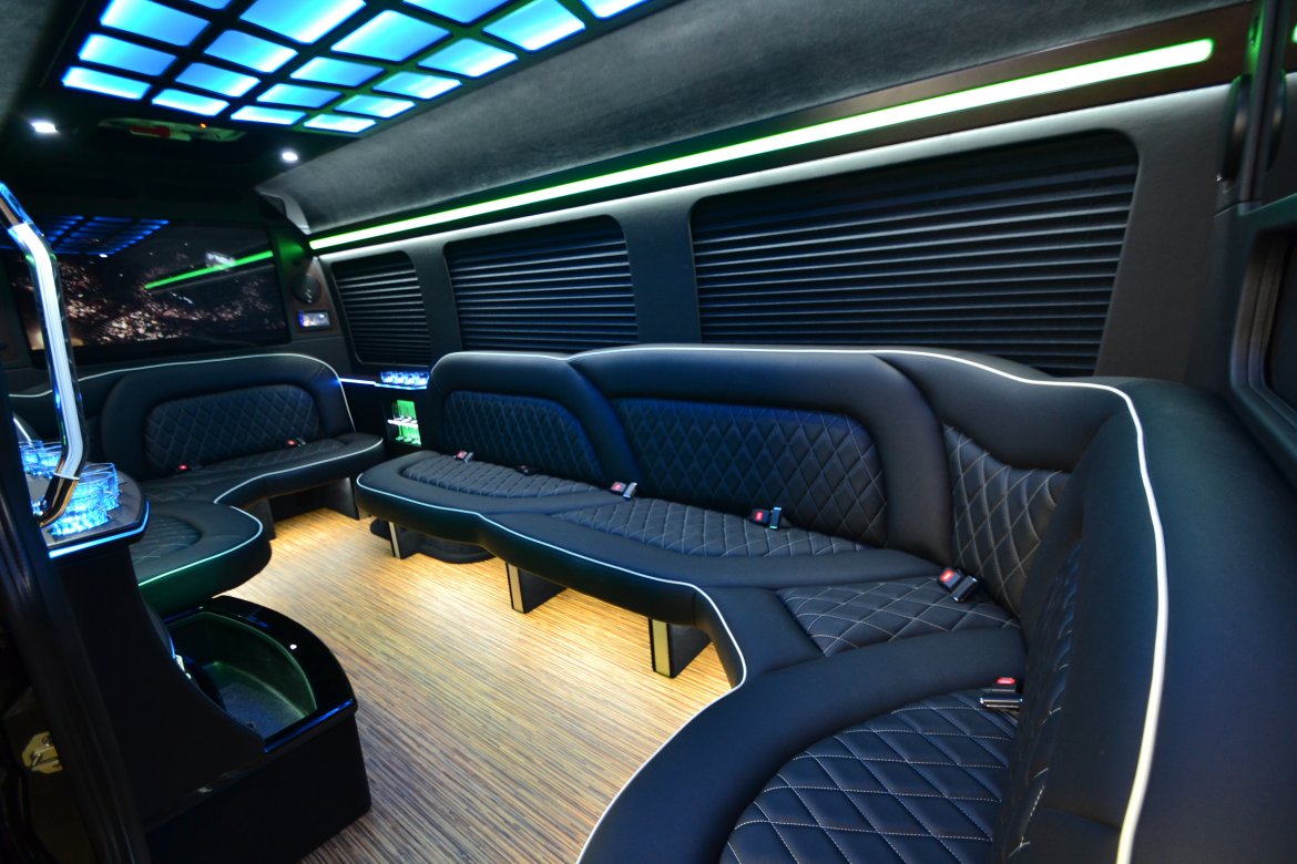 New 2019 Mercedes-Benz 170 Extended for sale #WS-13411 | We Sell Limos