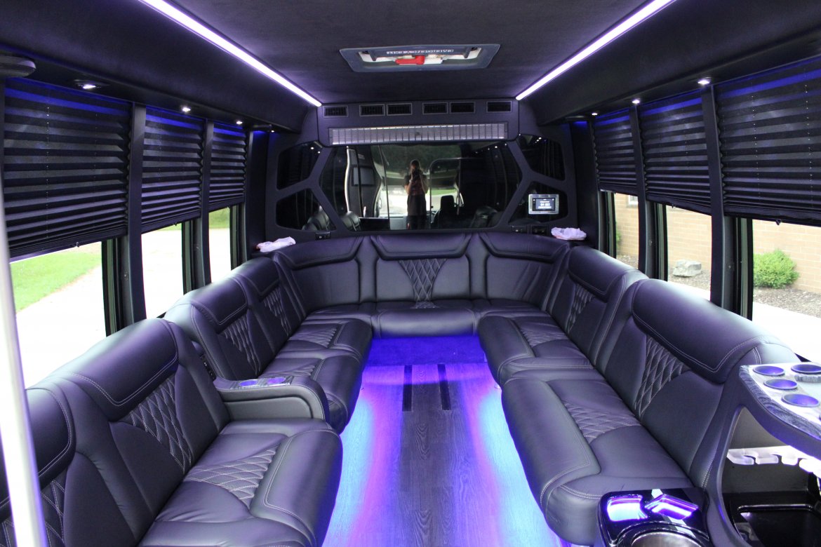 Used 2019 Ford Grech Motors for sale #WS-15553 | We Sell Limos