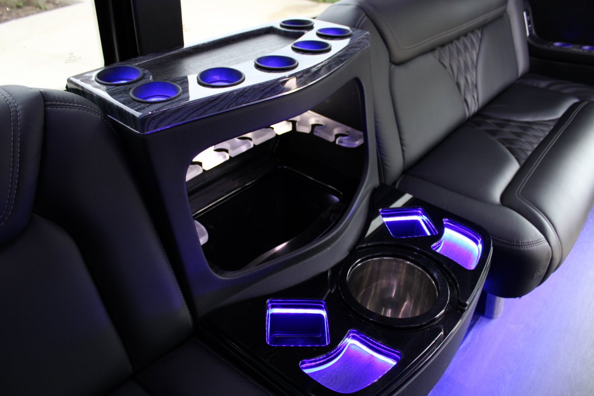 Used 2019 Ford Grech Motors for sale #WS-15553 | We Sell Limos