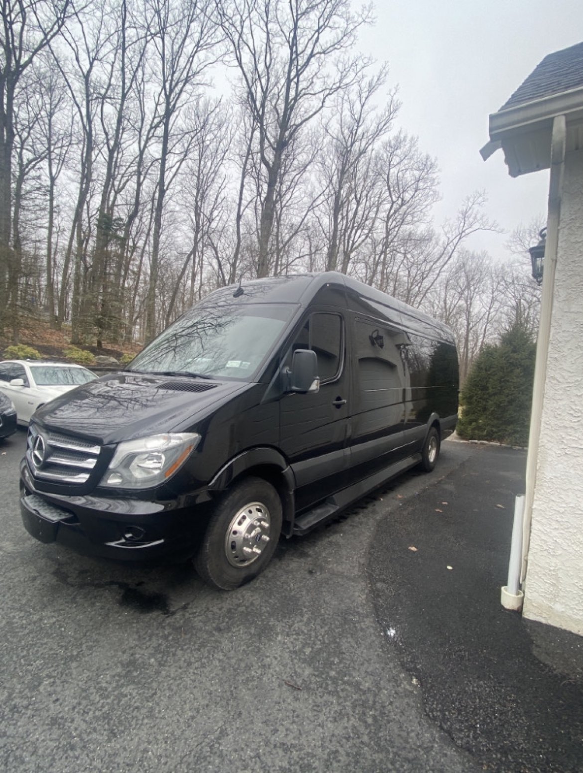 Used 2018 Mercedes-Benz Sprinter for sale #WS-16142 | We Sell Limos