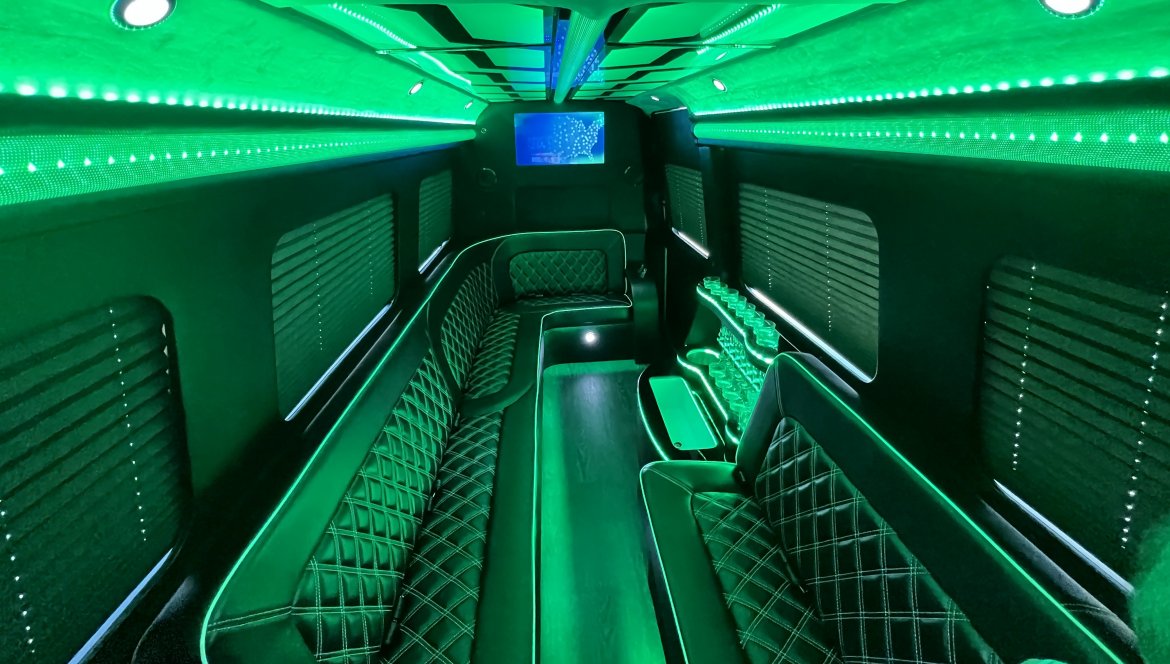 New 2022 Mercedes-Benz 14 Passenger Limo for sale #WS-16527 | We Sell Limos