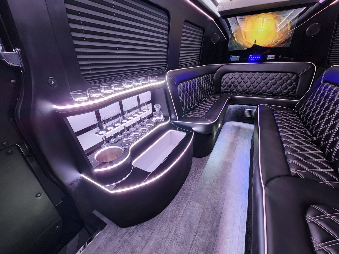 New 2023 Mercedes-Benz 14 Passenger Limo for sale #WS-16689 | We Sell Limos