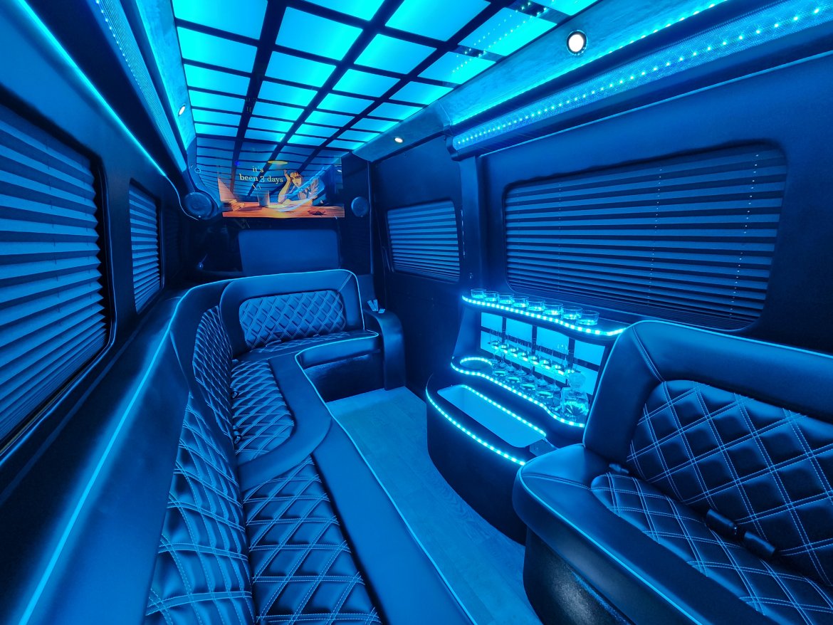 New 2023 Mercedes-Benz 14 Passenger Limo for sale #WS-16689 | We Sell Limos
