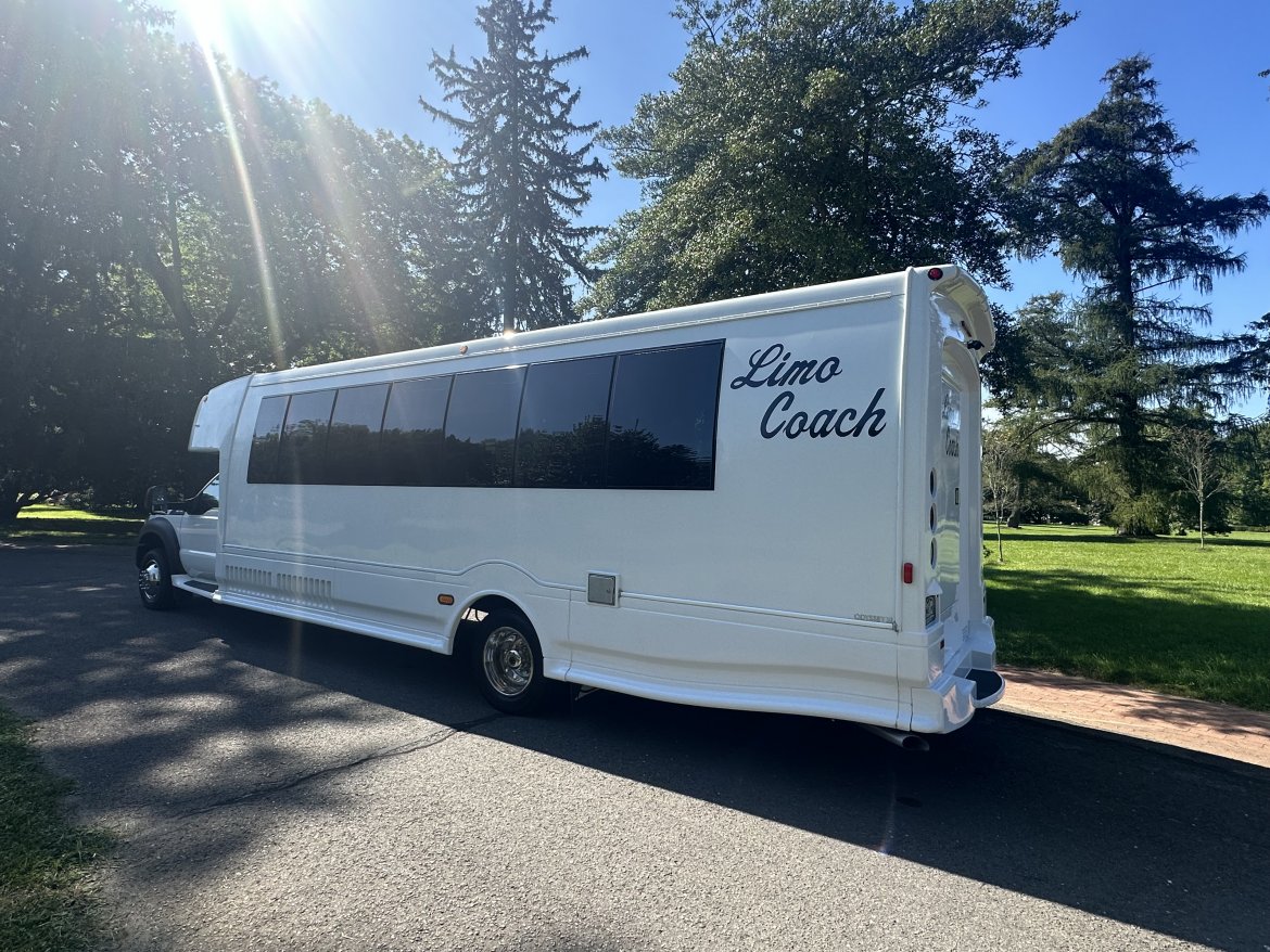 Used 2015 Ford 28 Passenger F-550 for sale #WS-16780 | We Sell Limos