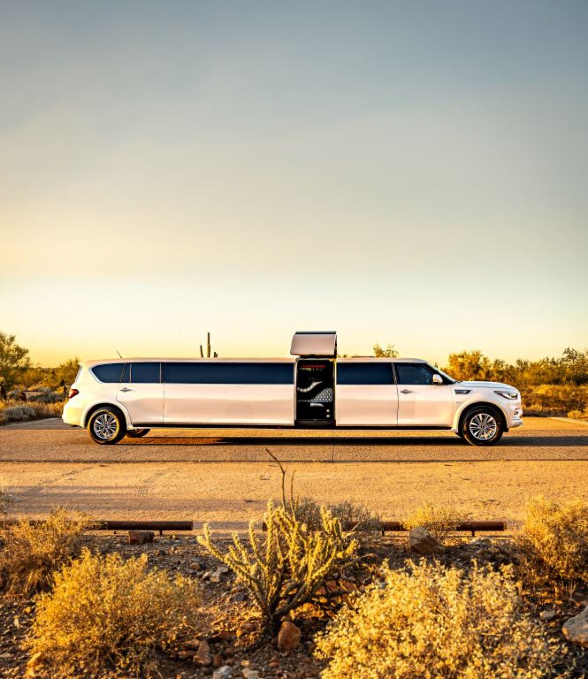 New 2020 Infiniti QX80 for sale in Phoenix, AZ #WS-17115 | We Sell Limos